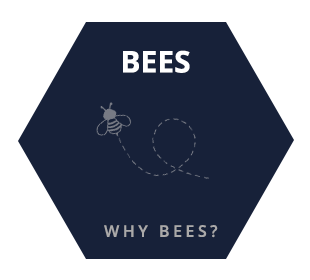 Welcome to Hive-Logic - Hive Logic